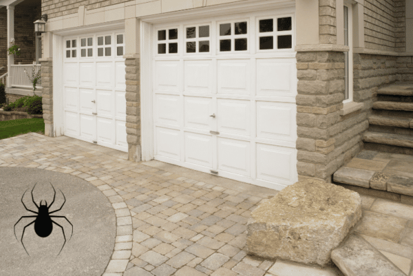 How to Keep Spiders Out of Your Garage | Solvermatic
