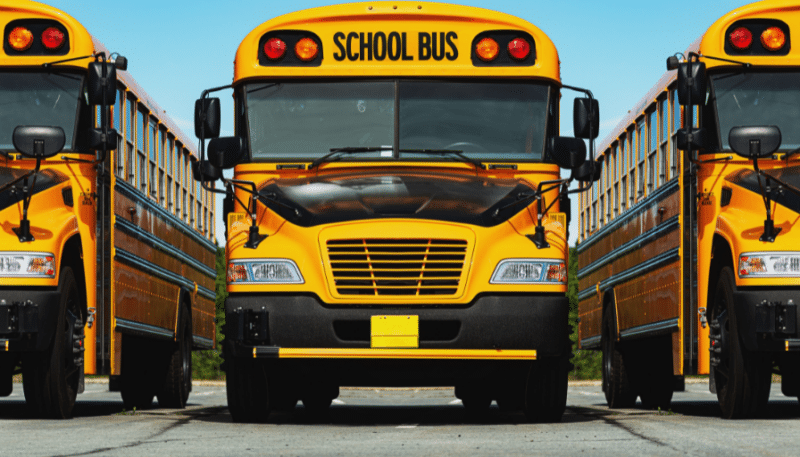 How Much Does A School Bus Weigh | Solvermatic